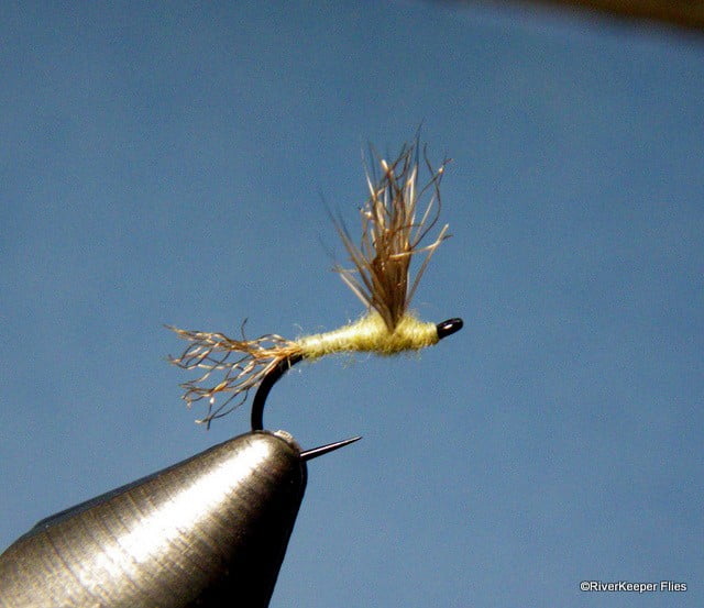 Mayfly Fly Patterns