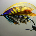 Forest Maxwells Purple Matuka - RiverKeeper Flies