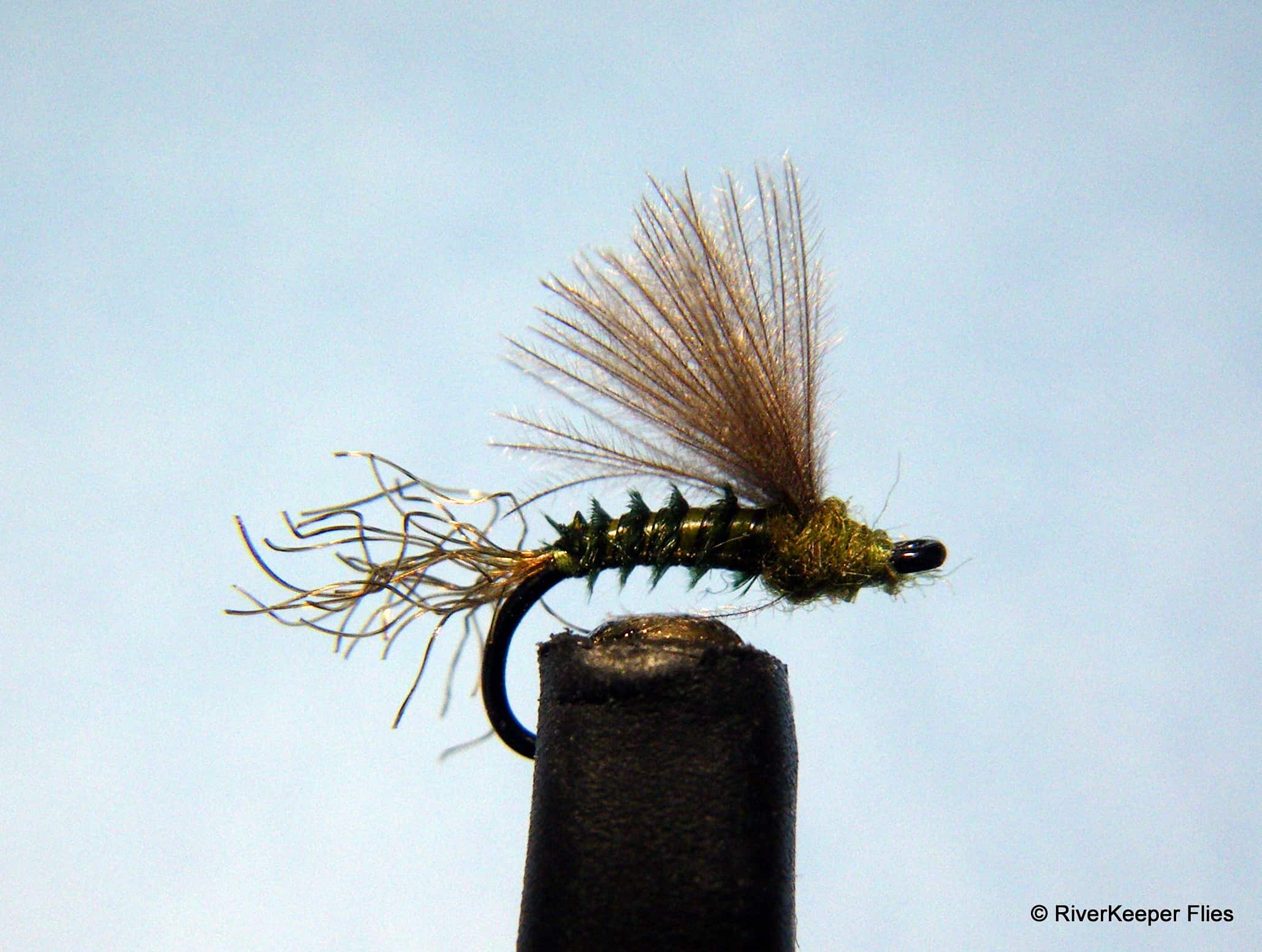 Blue Wing Olive Mayfly