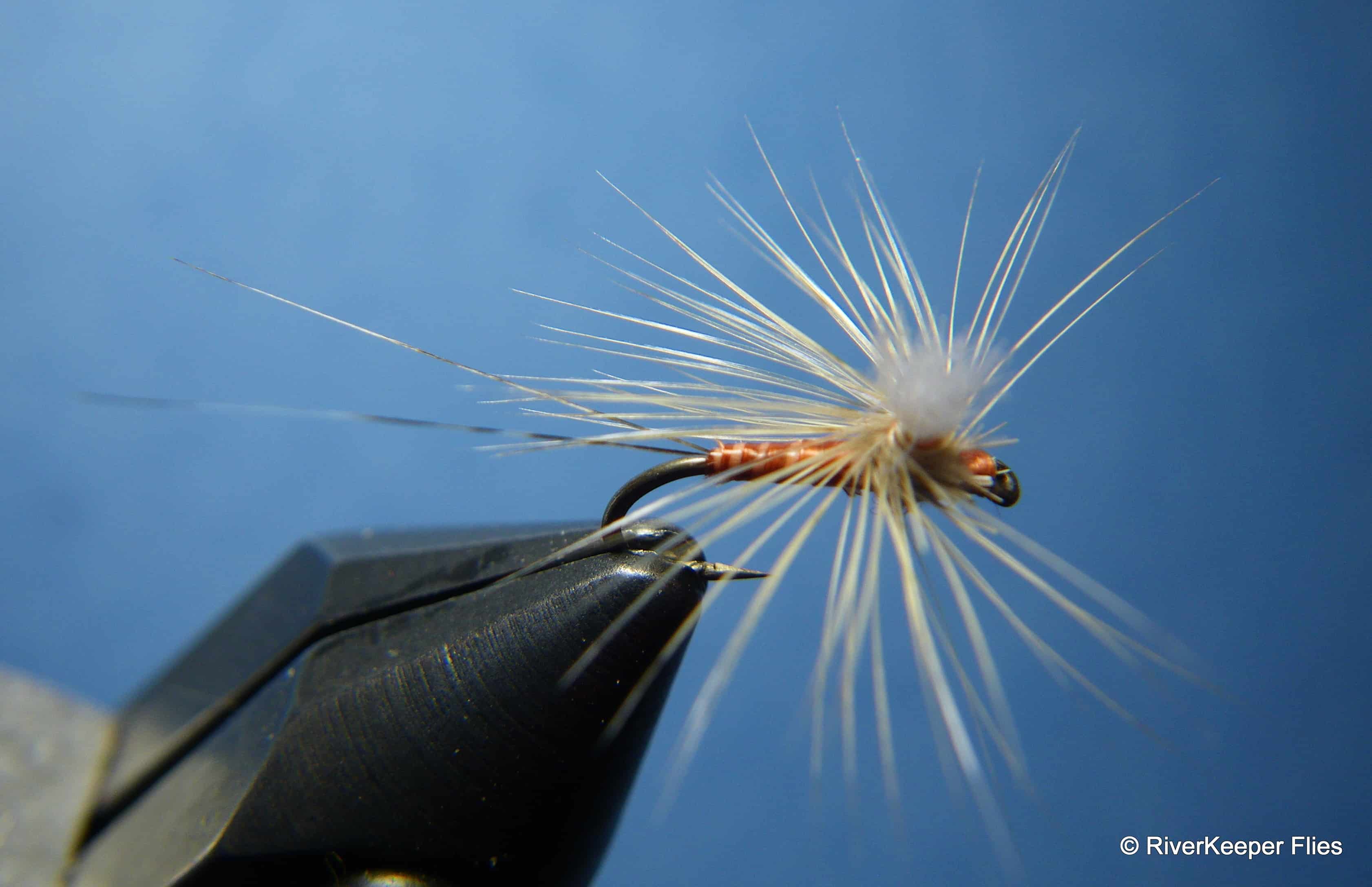 Rusty Paraspinner - RiverKeeper Flies