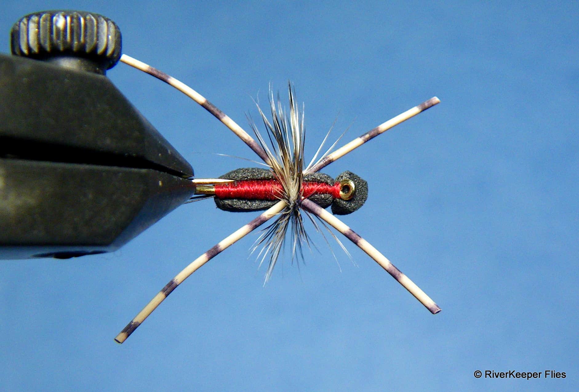 Fly Fishing with Beetles - RiverKeeper Flies