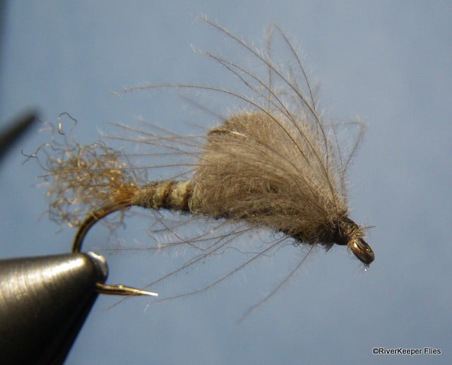 Use Fly Patterns with CDC Feathers