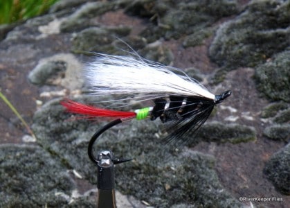 Skunk Steelhead Fly and Honoring Frank Moore - RiverKeeper Flies