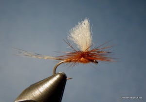 March Brown Time - RiverKeeper Flies