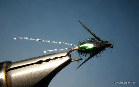Water Boatman - RiverKeeper Flies