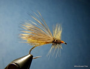 Clarks Golden Stone - RiverKeeper Flies