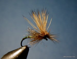 Caddis Fly Patterns - RiverKeeper Flies