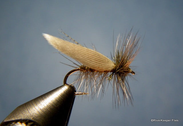 Mother's Day Caddis