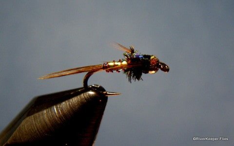 Lightning Bug - RiverKeeper Flies