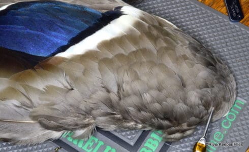 Preparing Mallard Wings for Soft Hackle Flies - RiverKeeper Flies