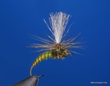 Mayfly Fly Patterns - RiverKeeper Flies