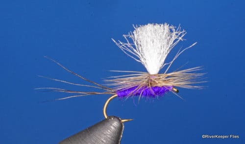 Purple Flies - RiverKeeper Flies
