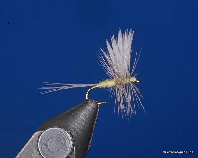 Mayfly Patterns White Mayfly – Smart Angling