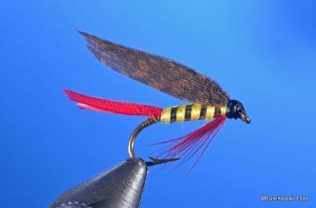 Montreal Yellow - RiverKeeper Flies