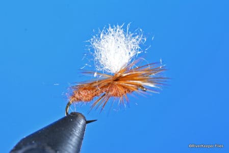 My Favorite Ant Fly Patterns - RiverKeeper Flies