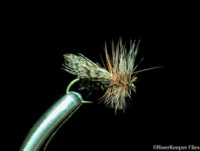 Wilson Ant - RiverKeeper Flies
