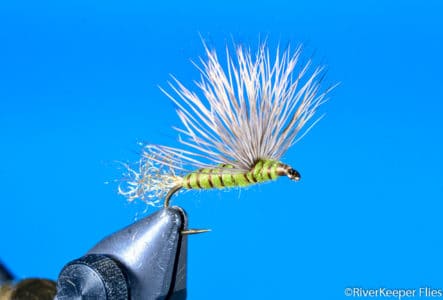 Sparkle Dun Mayfly - RiverKeeper Flies