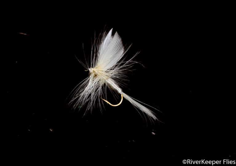 White Miller Dry Fly - RiverKeeper Flies