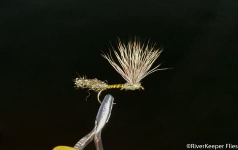 Fly Tying in Kauai - RiverKeeper Flies