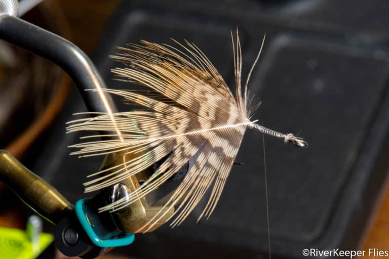 Pheasant Rump Muddler - RiverKeeper Flies