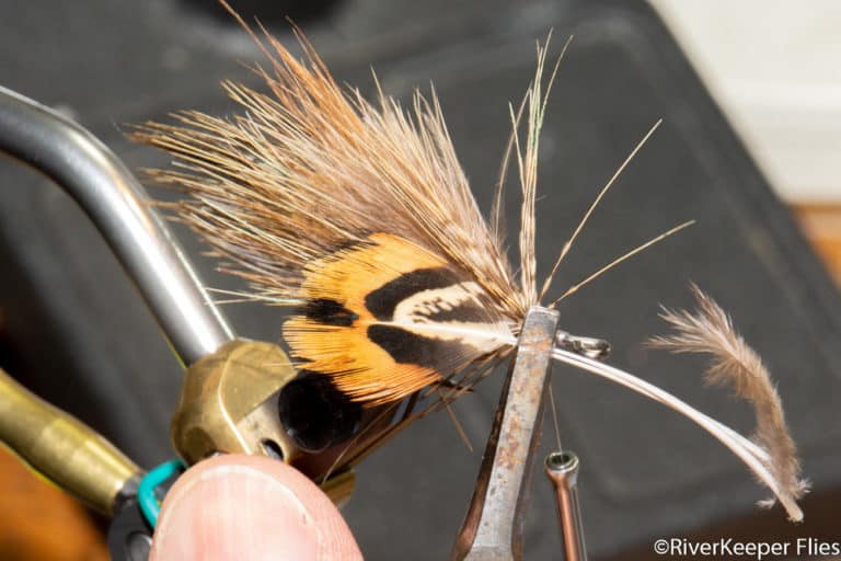 Pheasant Rump Muddler - RiverKeeper Flies
