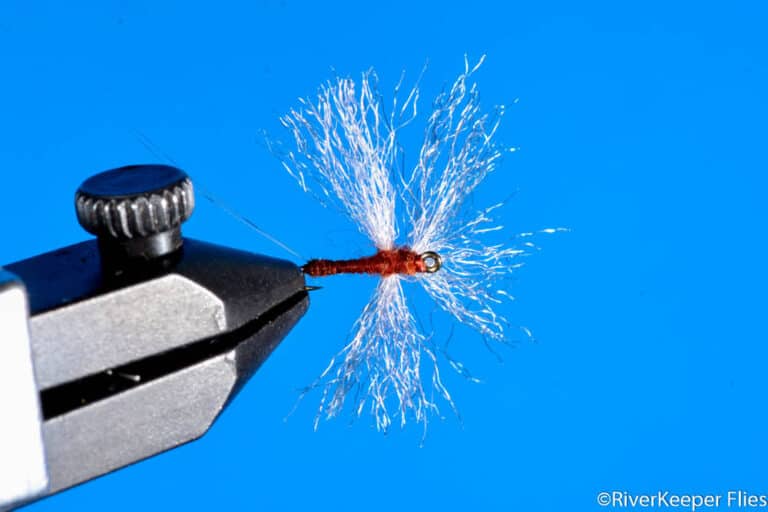 PMD Spinner Fly Patterns - RiverKeeper Flies