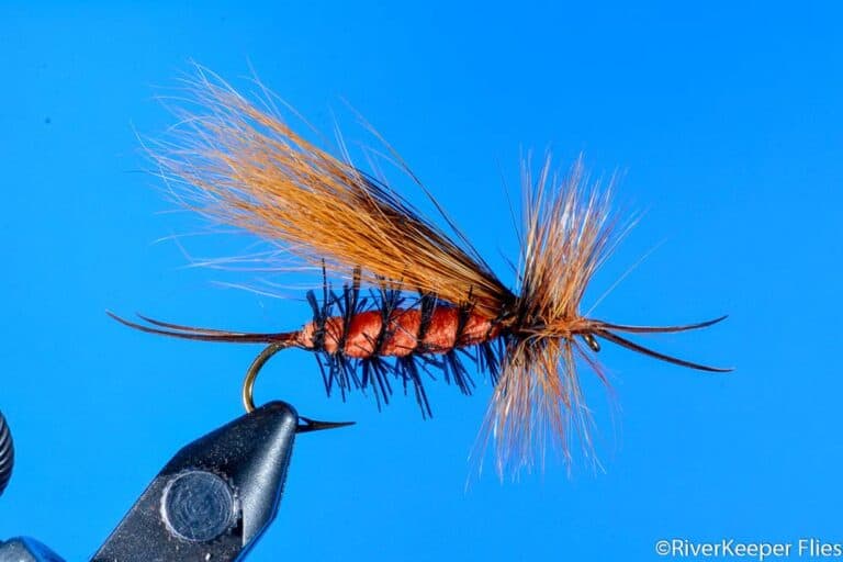 Girdle Bug - RiverKeeper Flies