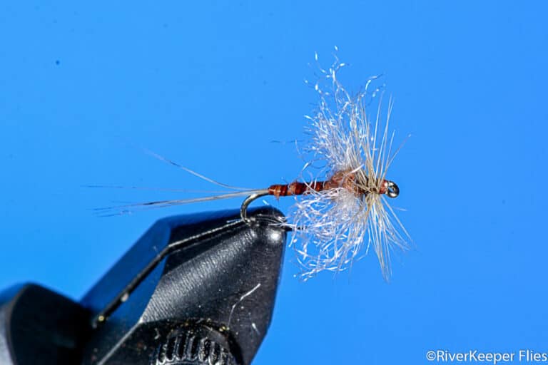 Importance of Imitating Mayfly Spinners - RiverKeeper Flies