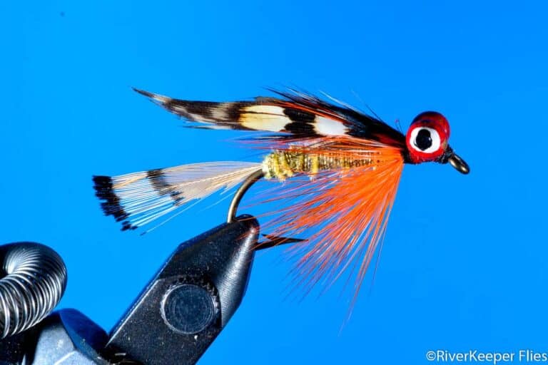 Pray's Optic Steelhead Fly - RiverKeeper Flies