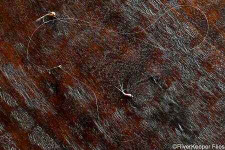 Effective Methods for Fishing Two Nymphs - RiverKeeper Flies
