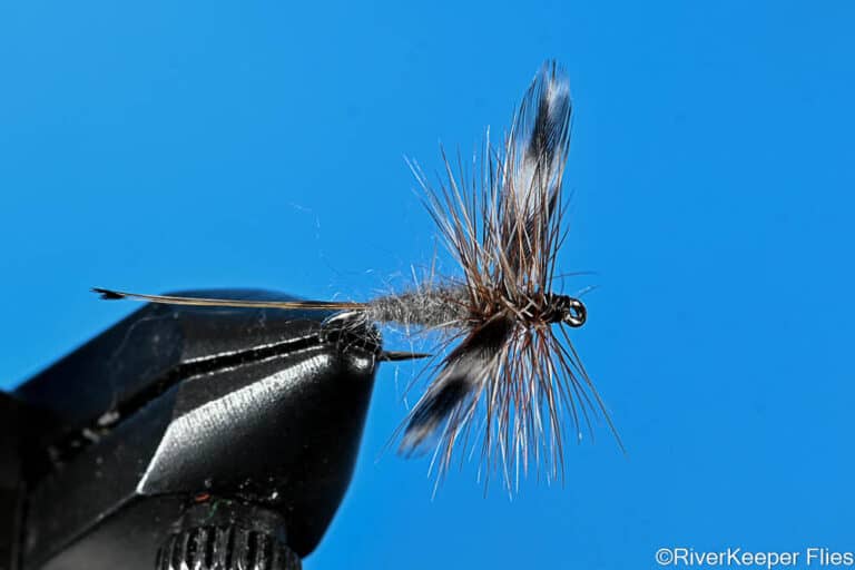 Adams Fly Pattern History - RiverKeeper Flies