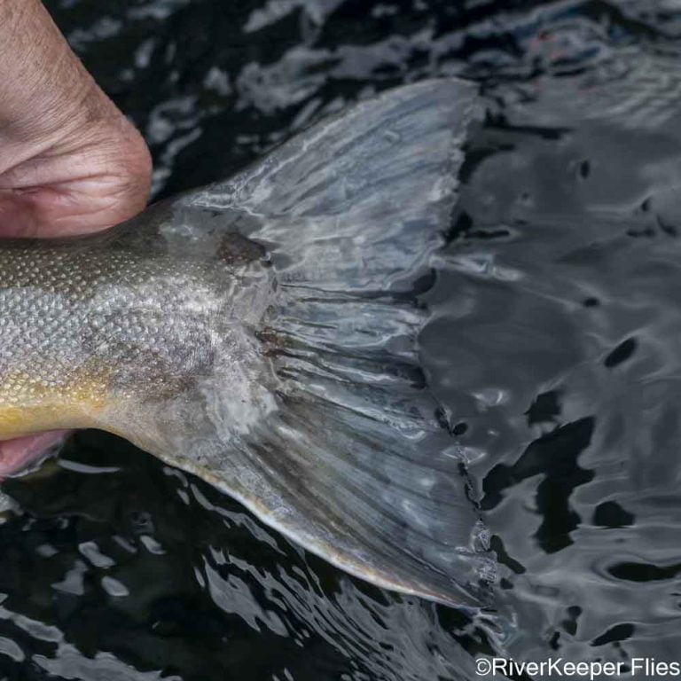 Fly Fishing the Iceland Highlands - RiverKeeper Flies