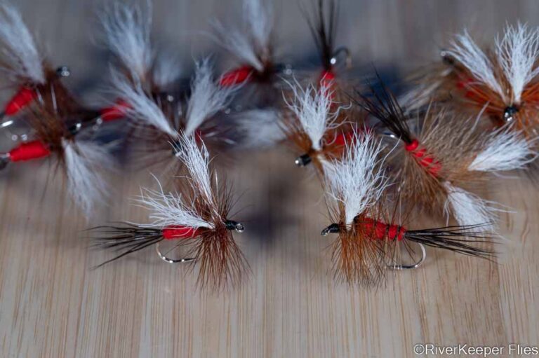 Beetle Bug Coachman Fly Pattern - RiverKeeper Flies