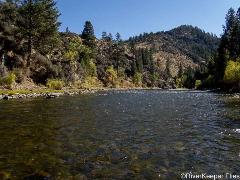 Fall Fly Fishing on the Bitterroot River - RiverKeeper Flies