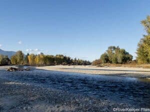 Fall Fly Fishing on the Bitterroot River - RiverKeeper Flies