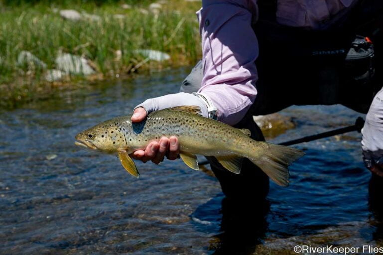 Heli Fly Fishing from Chochoy Mallin Lodge with SET Fly Fishing ...