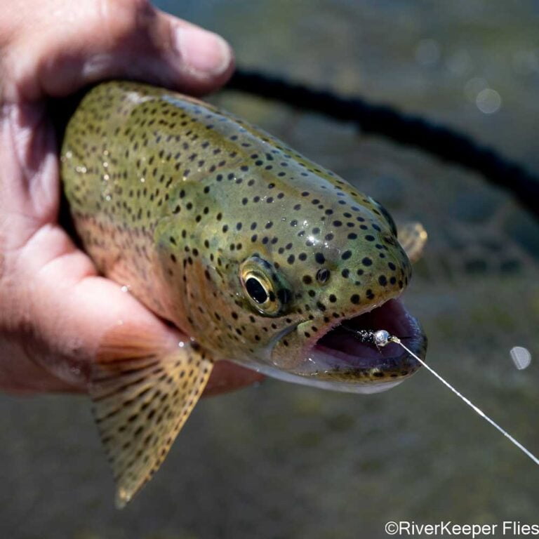 Heli Fly Fishing from Chochoy Mallin Lodge with SET Fly Fishing ...