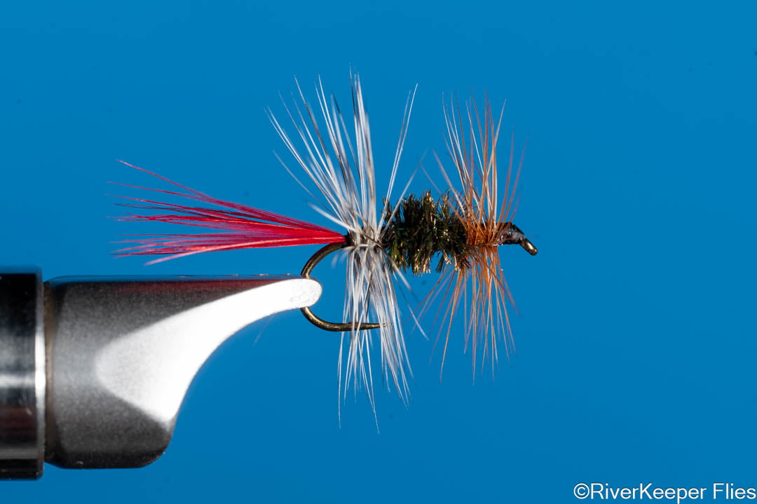 Buzz Hackle - RiverKeeper Flies