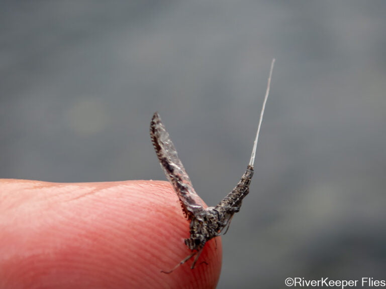 Fly Fishing the Yellowstone River in July 2023 - RiverKeeper Flies