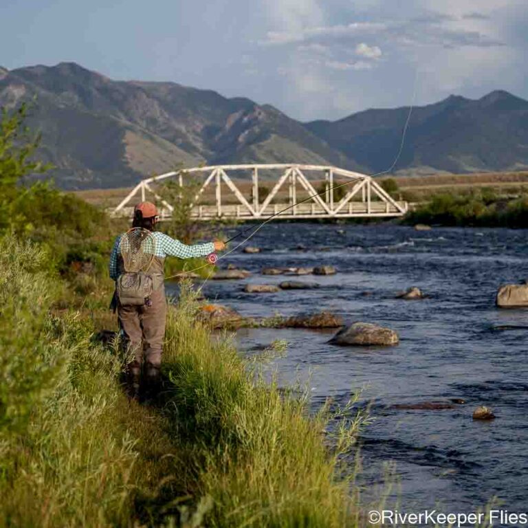 Second Week Fly Fishing the Madison River - RiverKeeper Flies