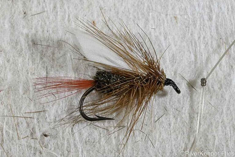 Royal Coachman - RiverKeeper Flies