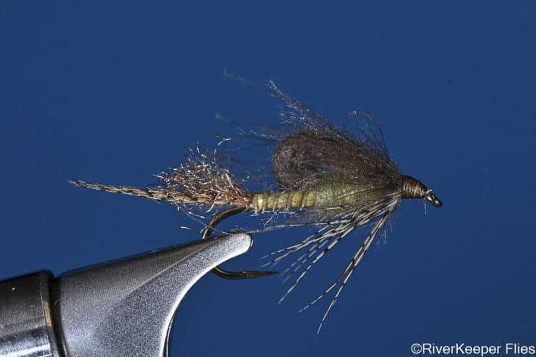 Green Drake CDC Loop Wing Emerger - RiverKeeper Flies