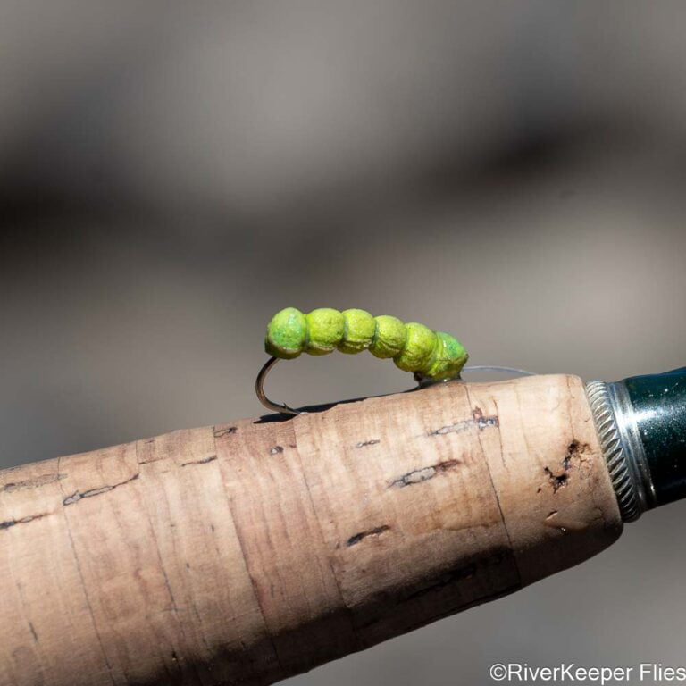 Fishing Pajarito Springs and Trocoman River with SET Fly Fishing ...