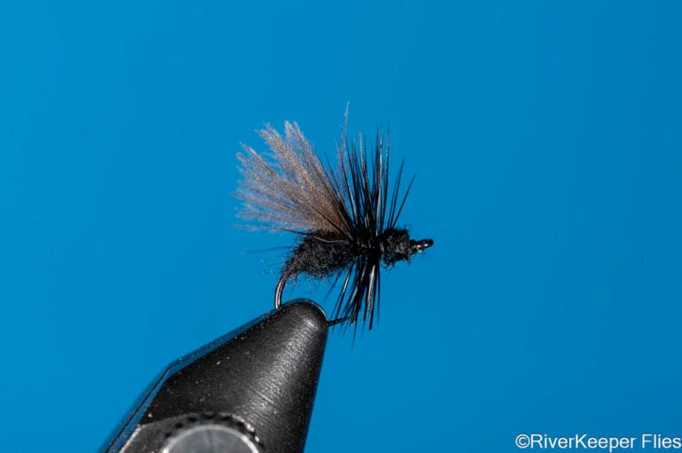 Harrop's CDC Ant - RiverKeeper Flies