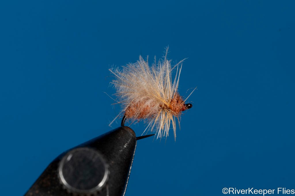 It's August and Time for Terrestrial Flies - RiverKeeper Flies