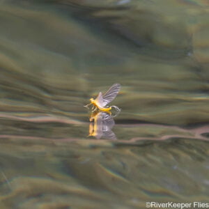 Recent Flies from the Vise - RiverKeeper Flies