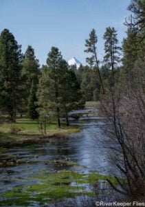 My Home Waters, The Metolius River - RiverKeeper Flies