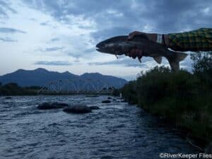 Madison River June and July Fly Fishing - RiverKeeper Flies