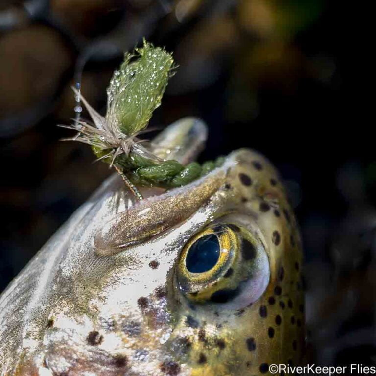 Lee Clark's Big Yellow Mayfly - RiverKeeper Flies