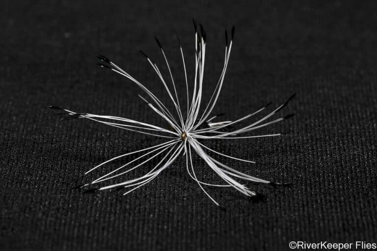 Reverse Spider - RiverKeeper Flies